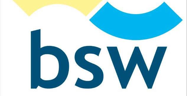 BSW: Dieses Kürzel hat Sahra Wagenknechts neue Partei nicht exklusiv ...