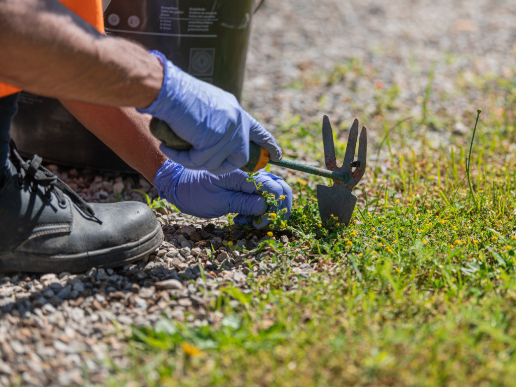 Bern: Gemeinnützige Arbeit statt Ersatzfreiheitsstrafen