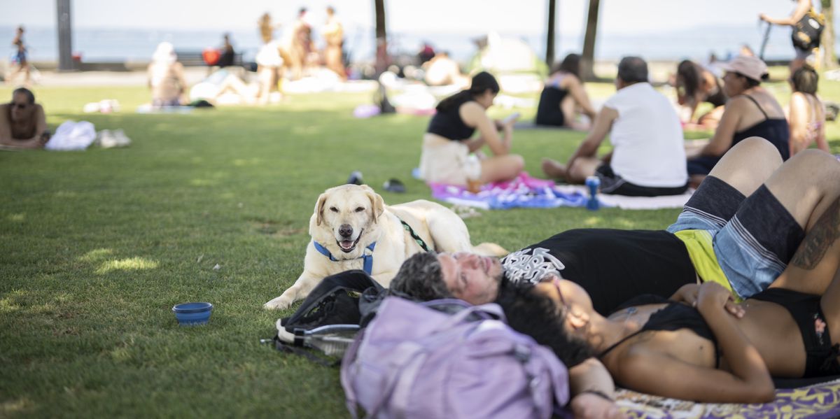 Sotwe türk milf ifşa i was in the mood for a Hispanic woman