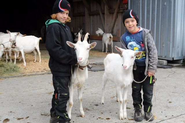 Stolze Jungzüchter an Ziegenschau | Berner Zeitung