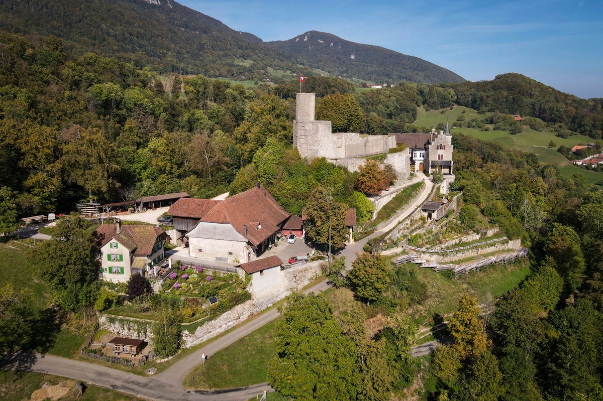 Schloss Oberbipp: Führungen sind selten möglich in der Sommerresidenz ...