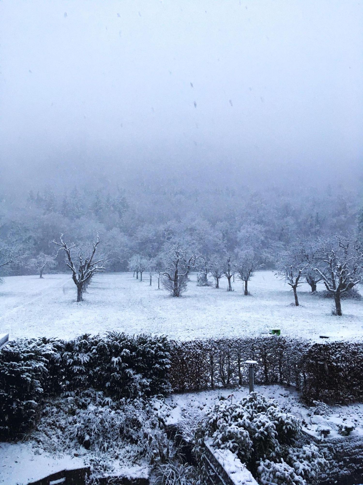 Schnee in der Region Basel – Die schönsten Bilder zum Winterstart ...