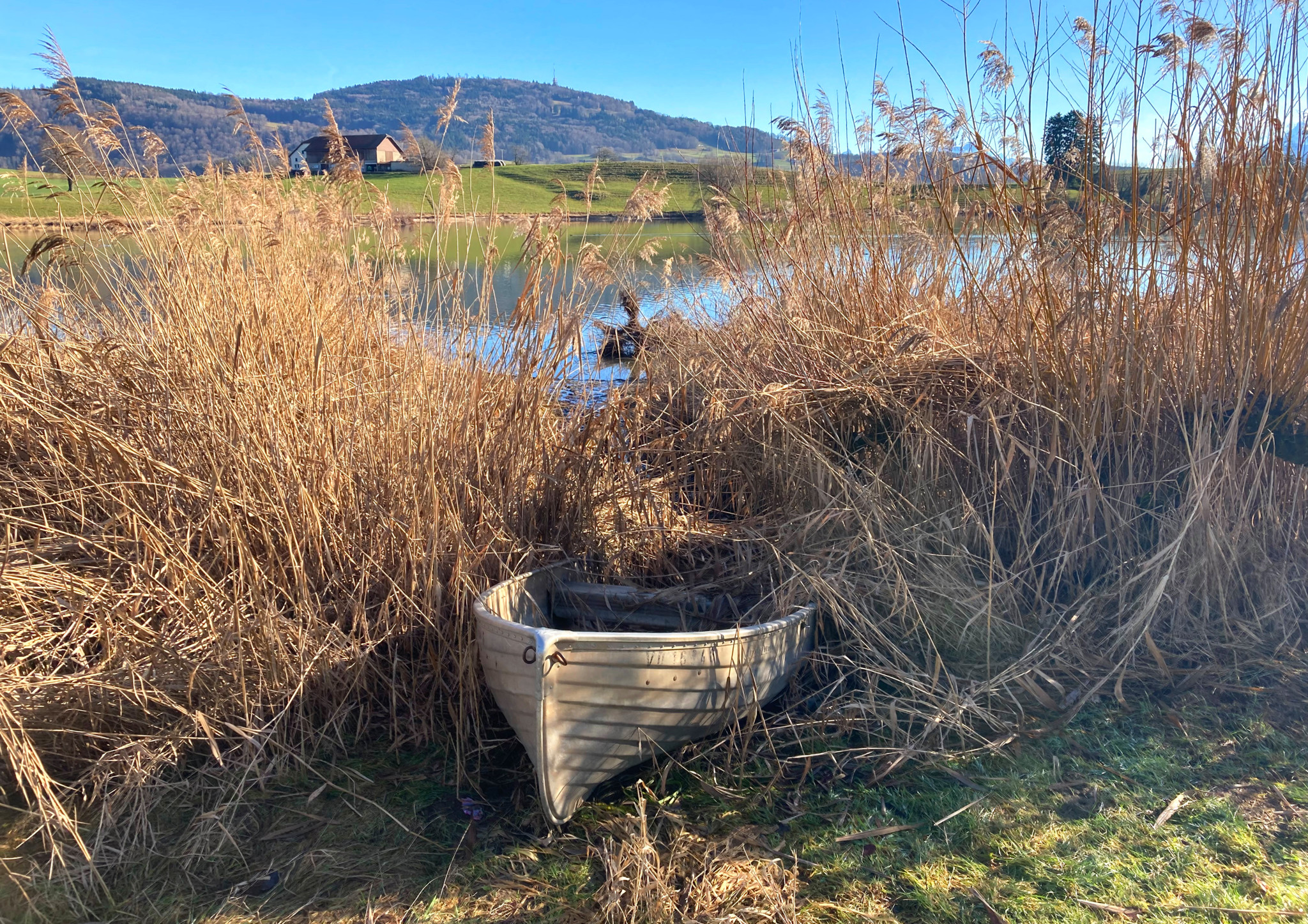 Lac de Bret: le Canton de Vaud veut classer la rive nord