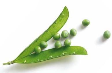 Incroyable! – Des petits pois lui poussent dans les poumons - L'essentiel