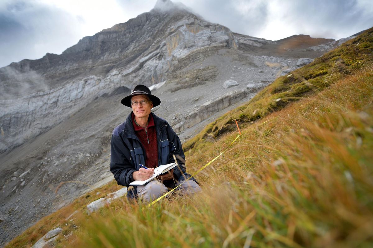 En quête de fraîcheur, la végétation grimpe toujours plus haut | 24 heures