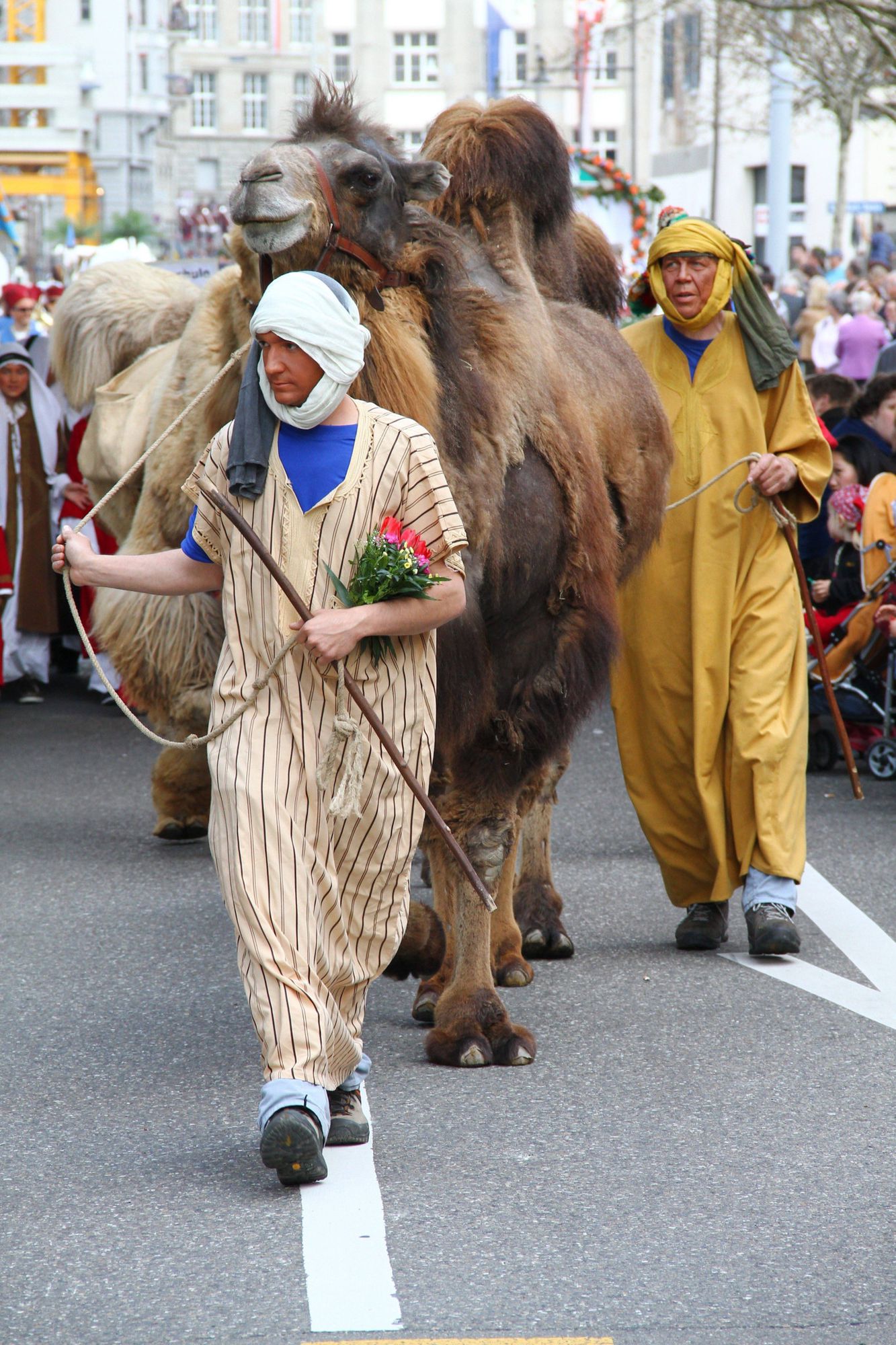 Tradition am Sechseläuten: Zunft zum Kämbel verzichtet auf braune ...