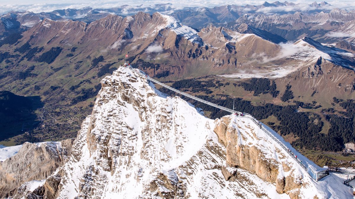 Crossing the Heights: Explore the Spectacular Suspension Bridges in ...