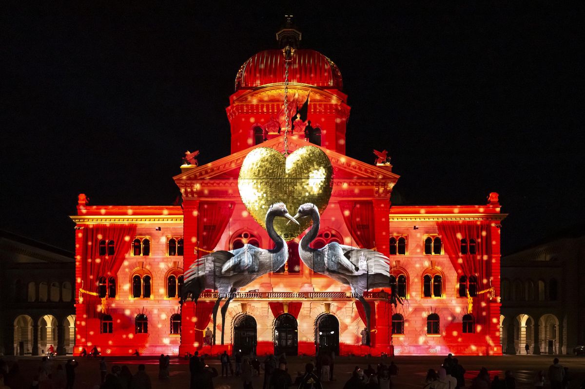 Rendez-vous Bundesplatz Bern: Vögel, die Stars der Lichtshow | Der Bund