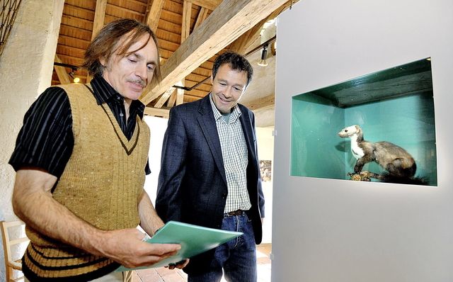 Kleine Jäger mit grosser Beute | Berner Zeitung