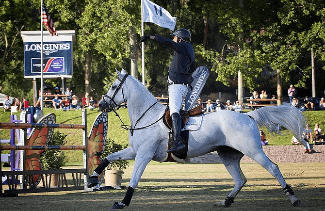 Hippisme - Un cavalier a fait subir des chocs électriques à ses chevaux ...