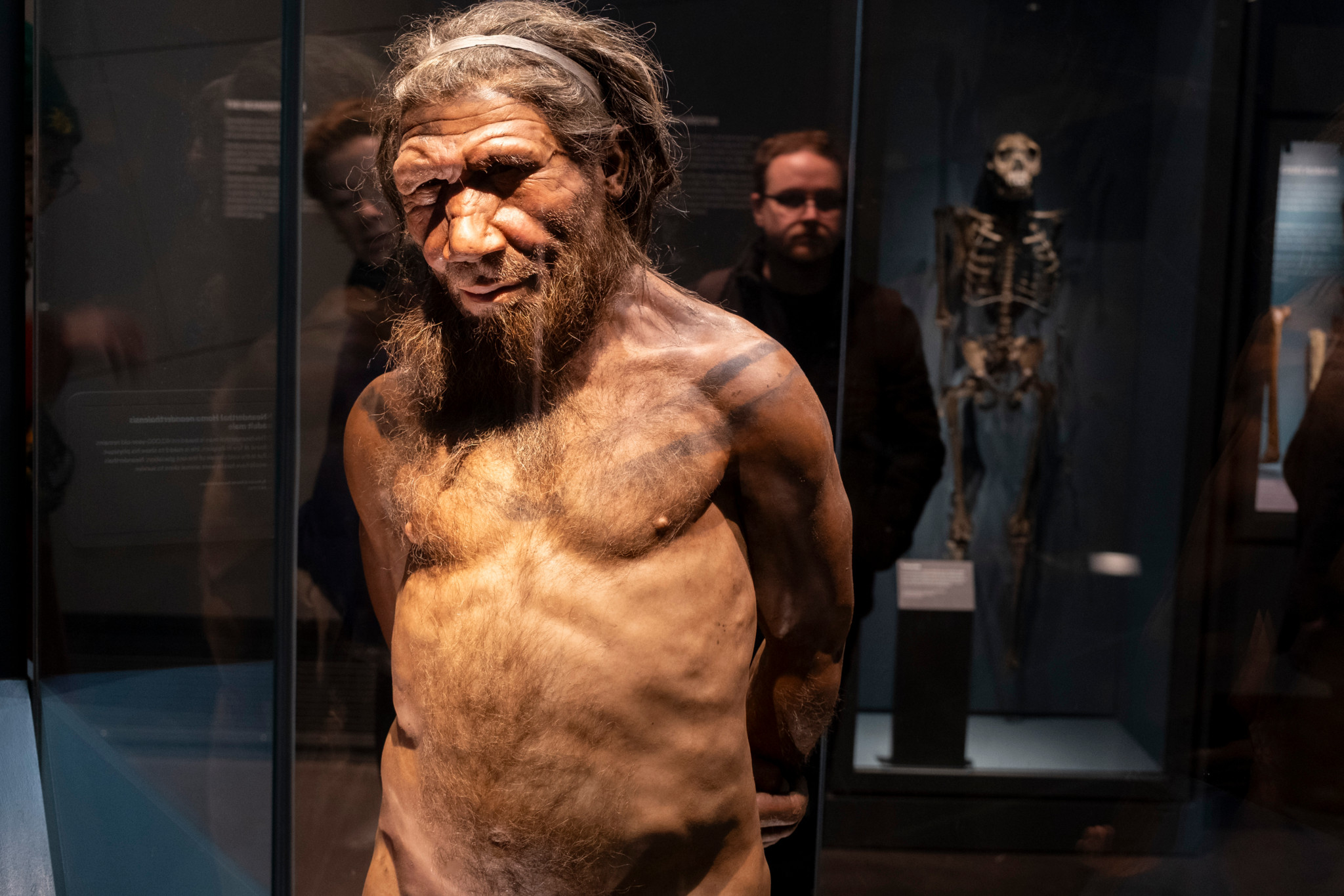 Evolution: Vergewaltigten Neandertaler Homo-sapiens-Frauen?