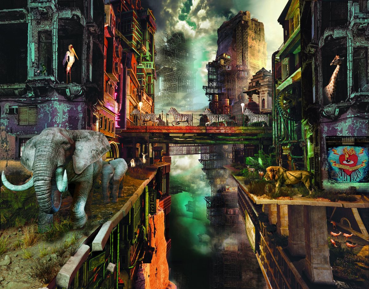 Carole Kittner | Tribune de Genève