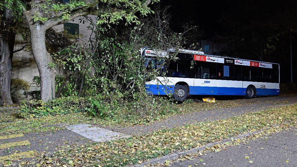 Ville de Zurich: Un bus finit sa course contre un arbre - Le Matin