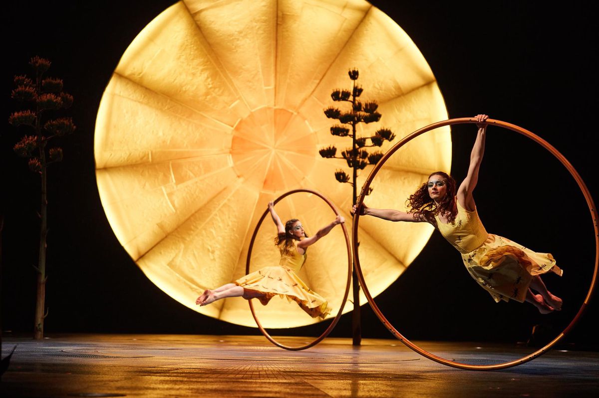 Cirque du Soleil mit «Luzia» : Dieser Zirkus hat die Seele wiedergefunden