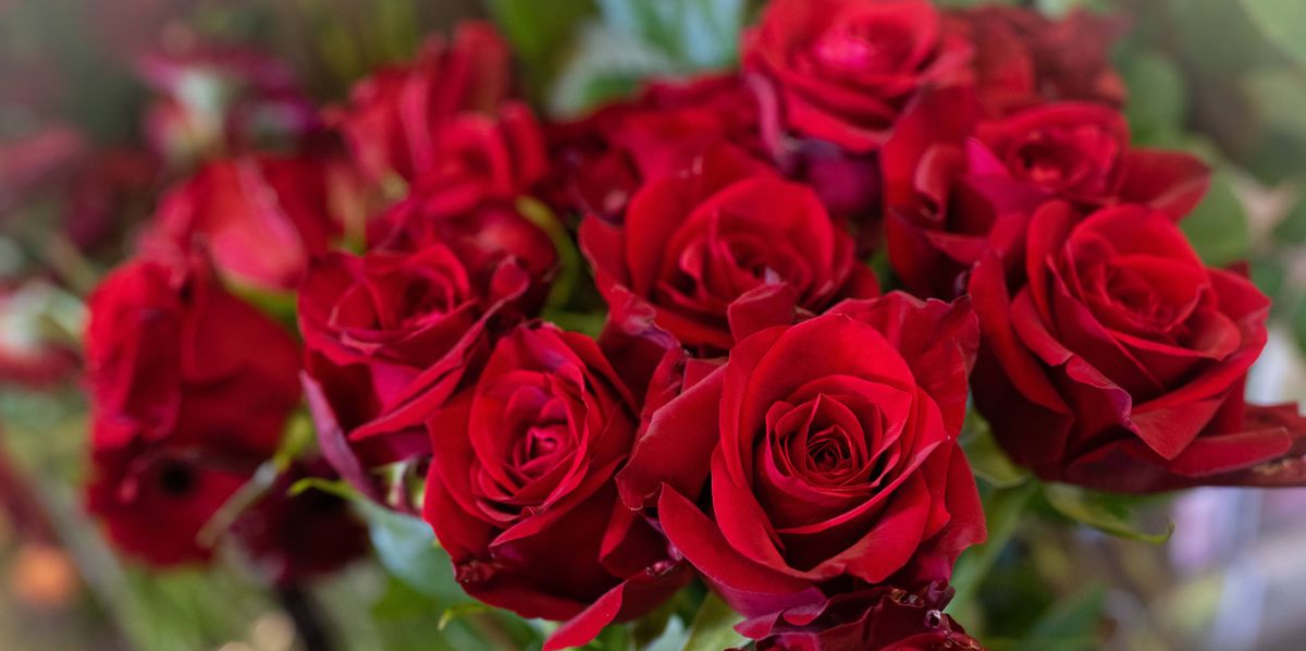 Romance Scam: Mittelsfrau wäscht ergaunertes Geld von Liebesbetrügern ...