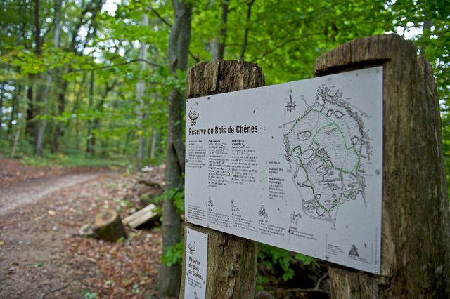 Le Bois de Chênes de Genolier se mue en grande réserve forestière | 24 ...
