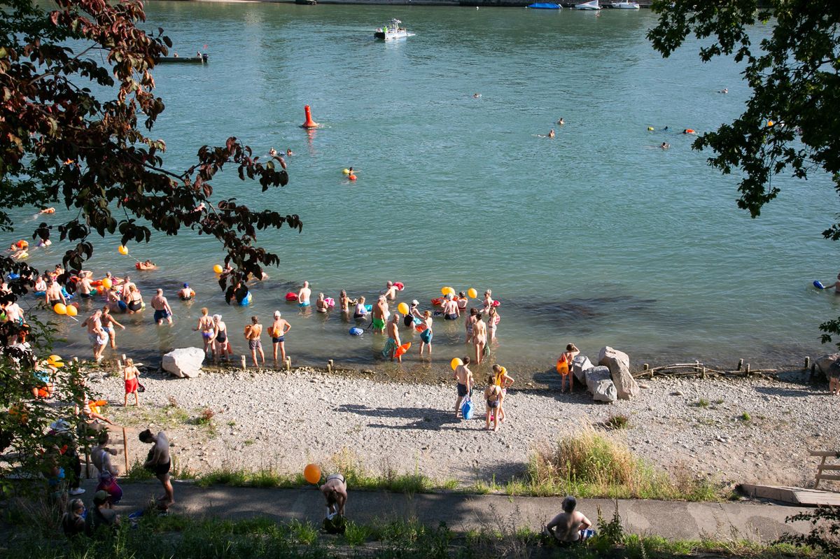 Prächtiges Basler Rheinschwimmen: Fast 5000 Menschen schwimmen bei ...