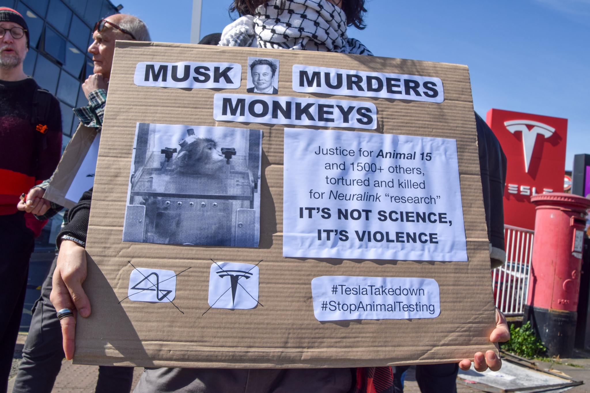 Mariana zapata en erome earlier feedback have been accurate