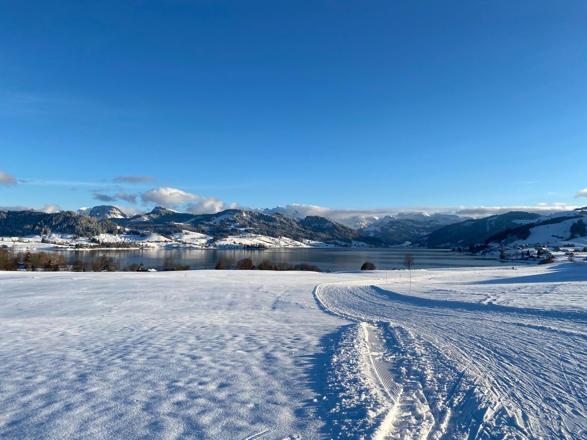 Loipen-Tipps: Wo Sie jetzt in der Region langlaufen können | Tages-Anzeiger