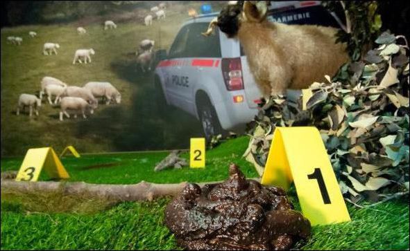 Sciences – La surprenante richesse des crottes - L'essentiel