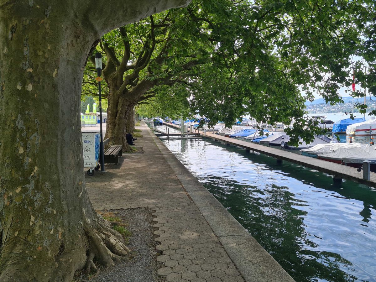 Zürifäscht, Hitze, Wetter: 8 Tipps, um bei 34 Grad cool zu bleiben ...