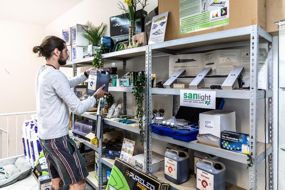 Luxemburg: Gras-Anbau ab heute legal – und keiner merkt's - L'essentiel