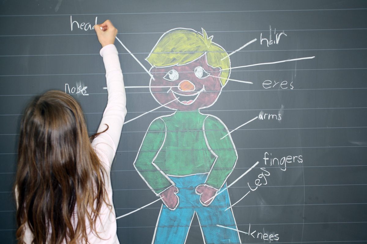 In Zürich ist Englisch immer wichtiger – jede achte Person spricht die ...