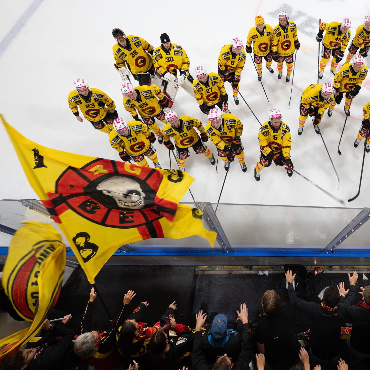 SC Bern | Der Bund