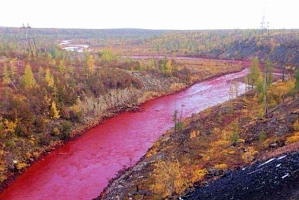 Rivière rouge: un industriel reconnaît sa faute | 24 heures