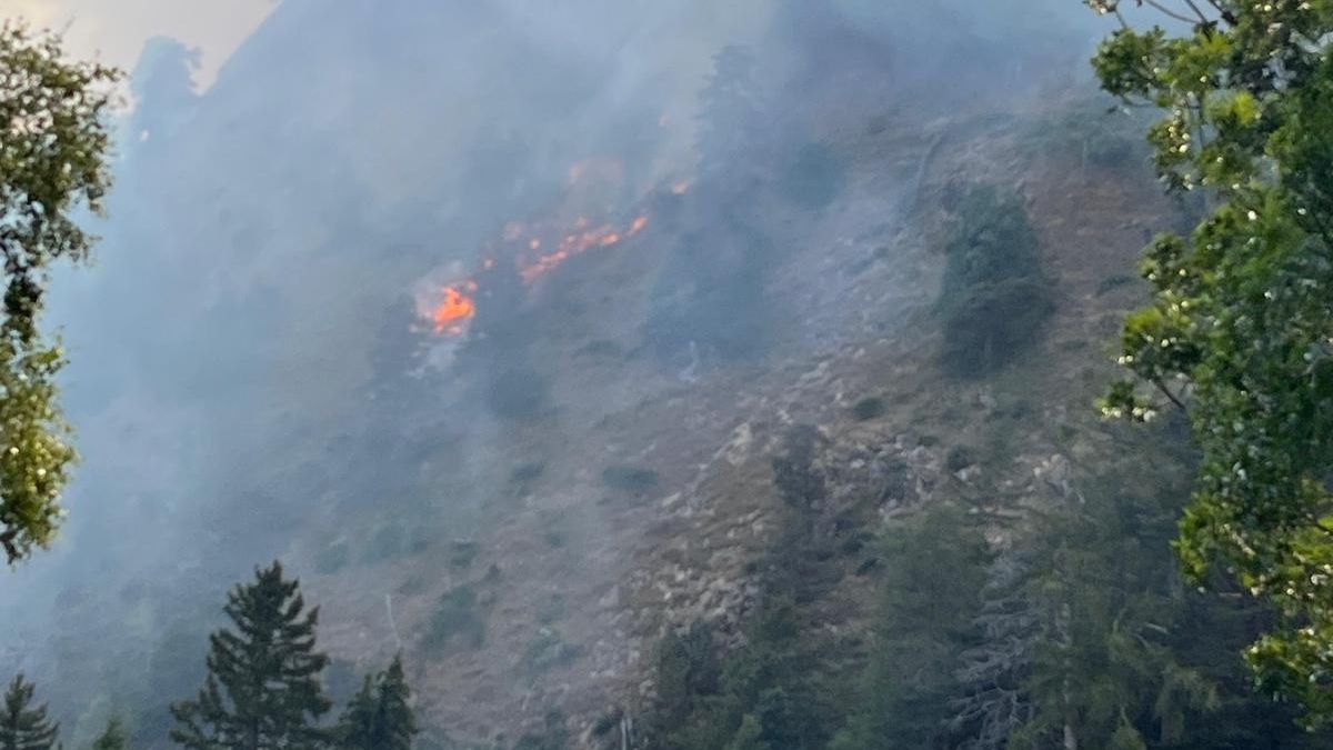Valais: un immense incendie de forêt est en cours à Bitsch - Le Matin