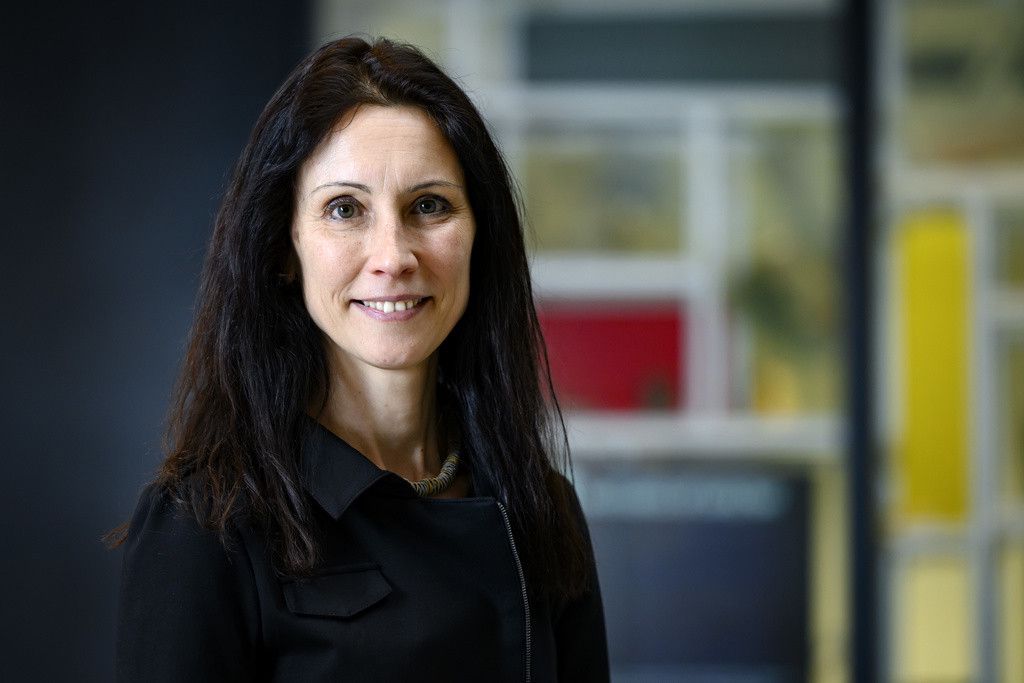 Succession de Martin Vetterli: «Il faudra maintenir le niveau d’excellence de l’EPFL» | 24 heures