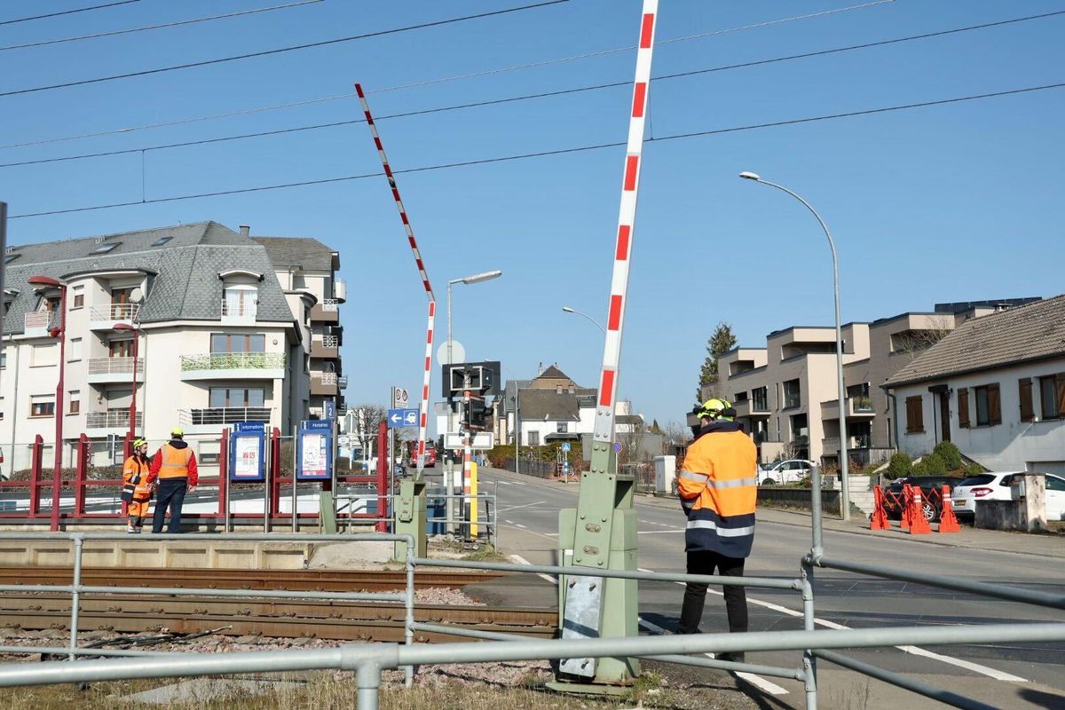 Circulation des trains: Passage à niveau endommagé: le trafic a repris ...