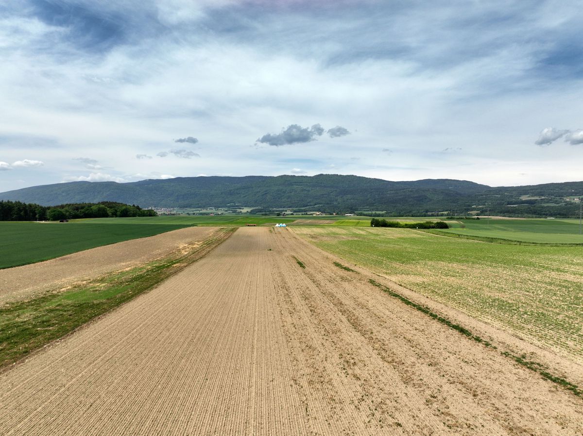 Chaleur et manque de pluie: «Vaud est déjà en situation de sécheresse»