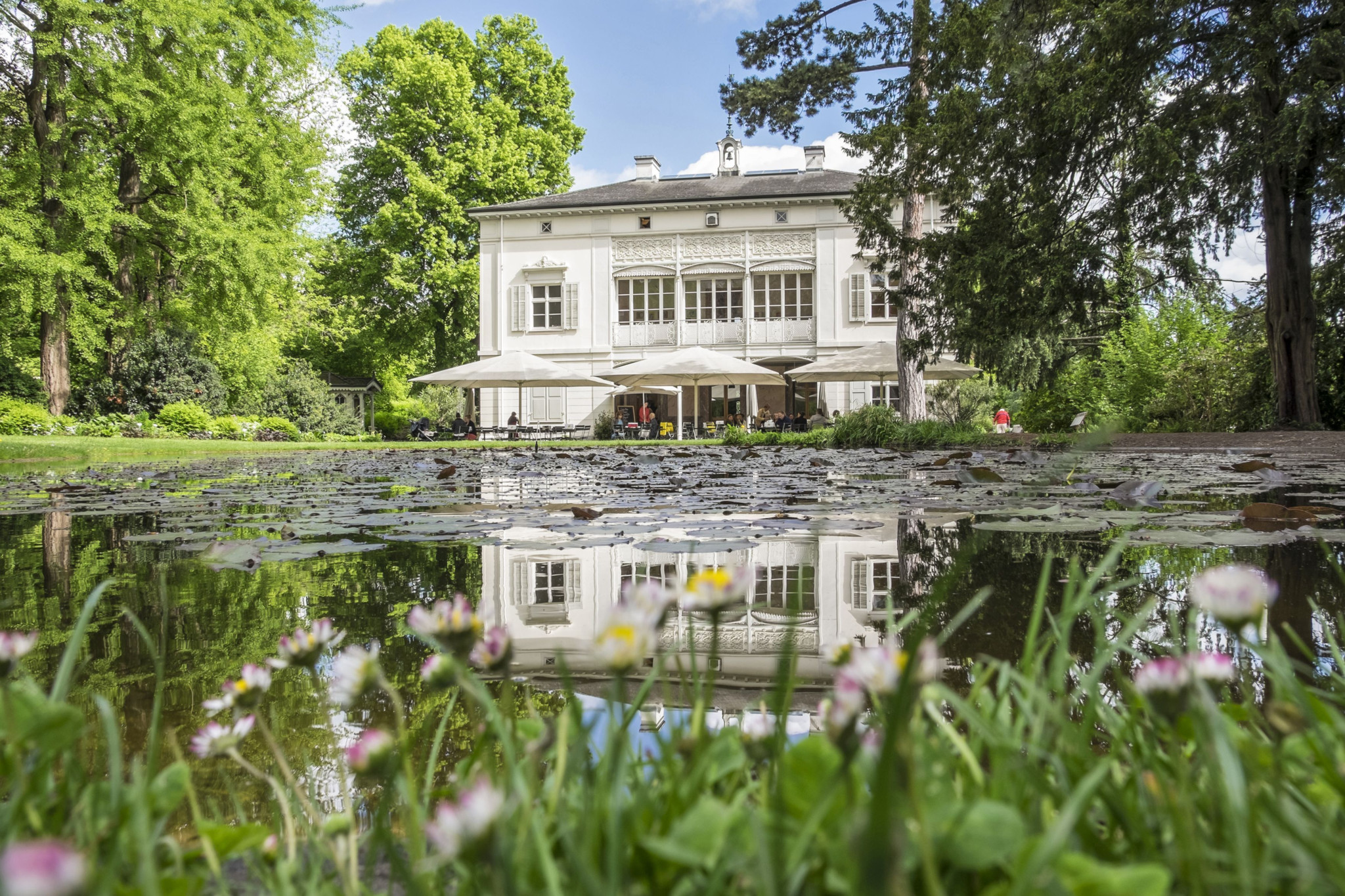 Basel-Ausflug: Rundgang durch die blühenden Merian-Gärten | Tages-Anzeiger