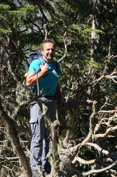 Wo der Wald macht, was er will | Basler Zeitung