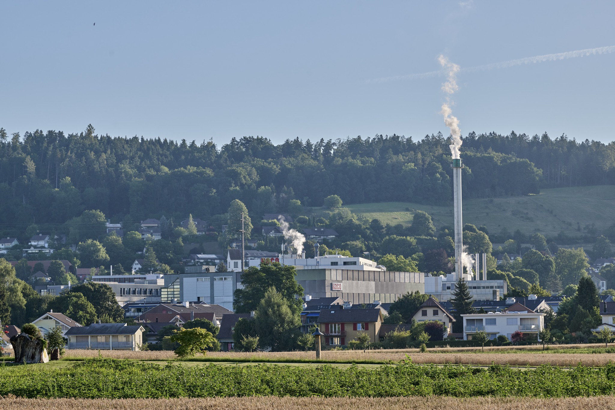 Sie kopiert Ovo, Aromat und Co.: Die Chef-Nachahmerin aus Gümligen ...