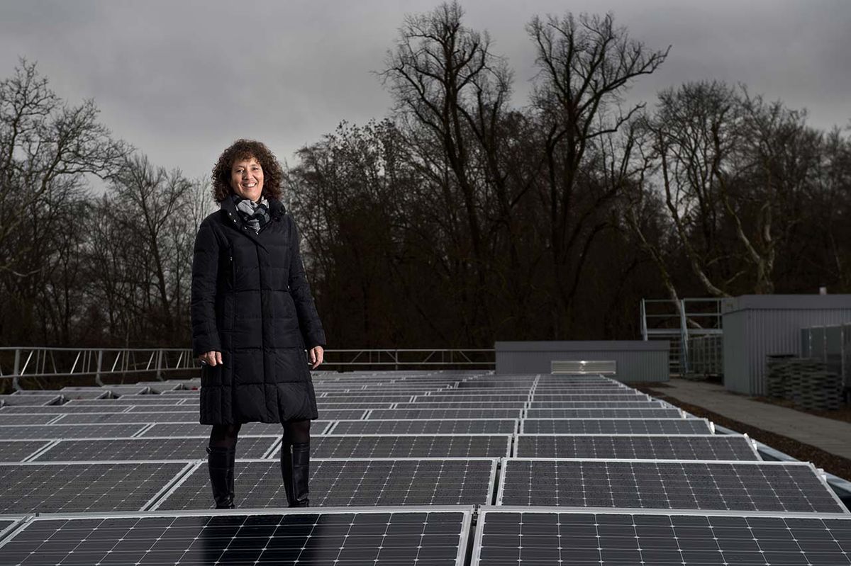 Die Regierung | Der Bund