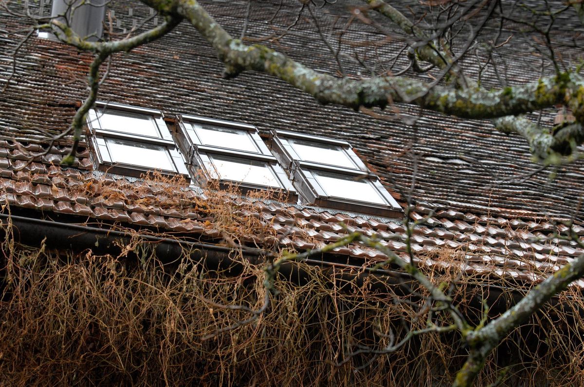 Dachfenster erdrückte junge Frau: Handwerker kassieren Geldstrafen ...