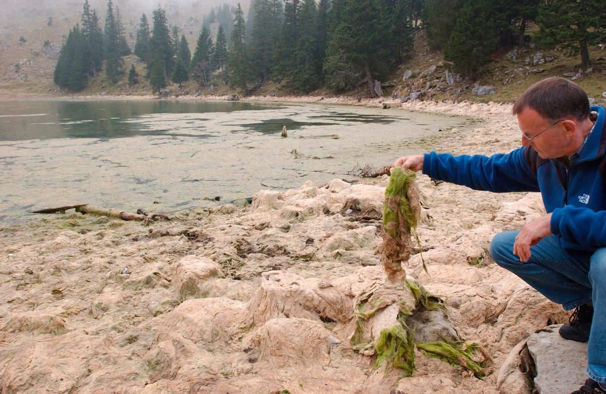 Bedrohte Biodiversität: Das Gantrischseeli retten? «Ich mag nicht mehr ...