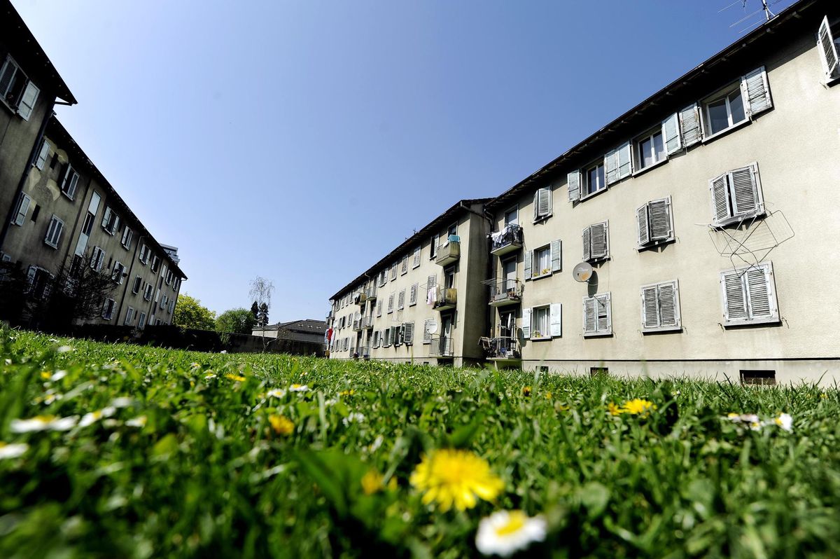 Lettre du jour - Cité Léopard et «street art» | Tribune de Genève