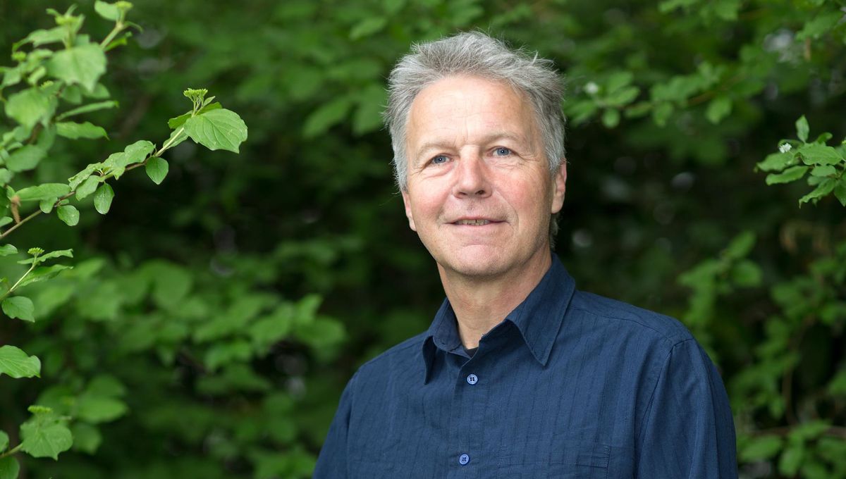 Igelzentrum Zürich: Interview mit Igelexperte Simon Steinmann | Tages-Anzeiger