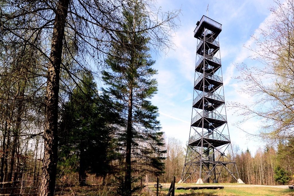 Der Eschenbergturm wird bis Juni gesperrt