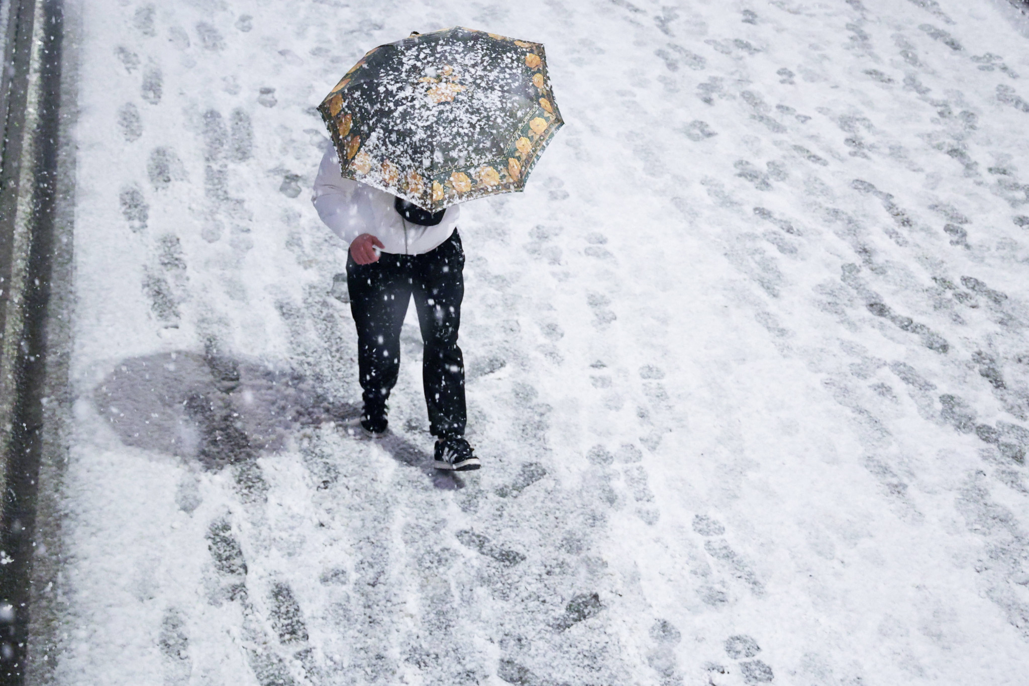 Wetter Schweiz: Schneefallgrenze sinkt und es wird kalt | Tages-Anzeiger