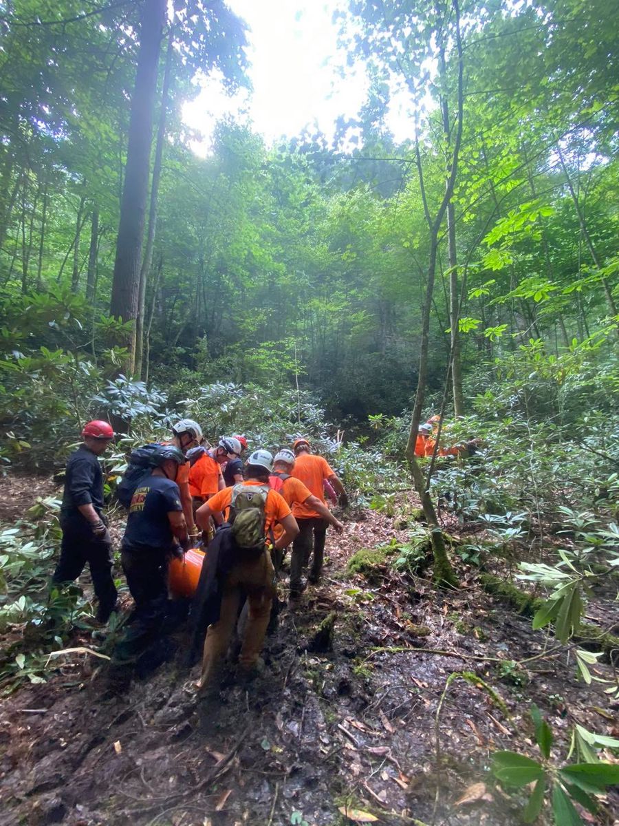 USA: Vermisster nach 14 Tagen im Wald lebend gefunden | Berner Zeitung