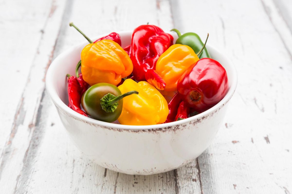 «Tödlich ist die Dummheit, nicht der Chili» | Berner Zeitung