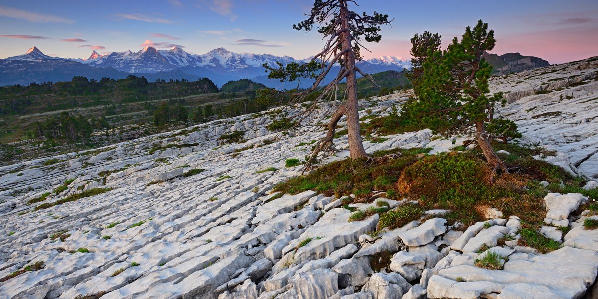 Hans Herrmann: Sein Kriminalroman führt ins Berner Oberland