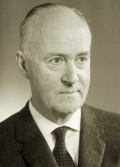 Als die Schimpansen Hörnli fressen mussten | Tages-Anzeiger