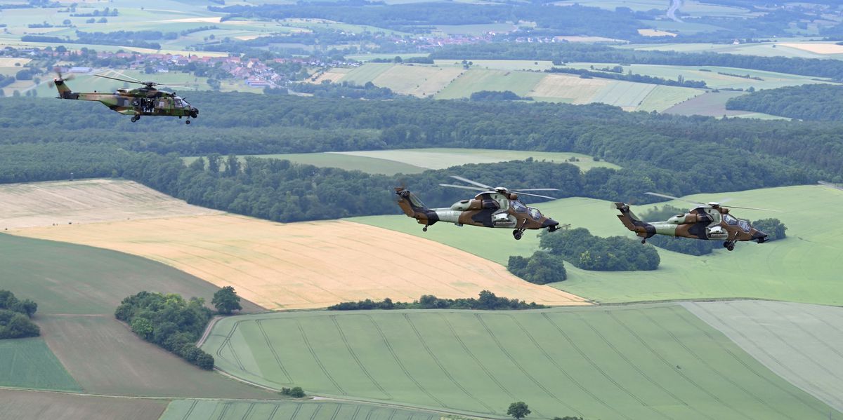 France: des animaux morts de peur lors d’un exercice militaire