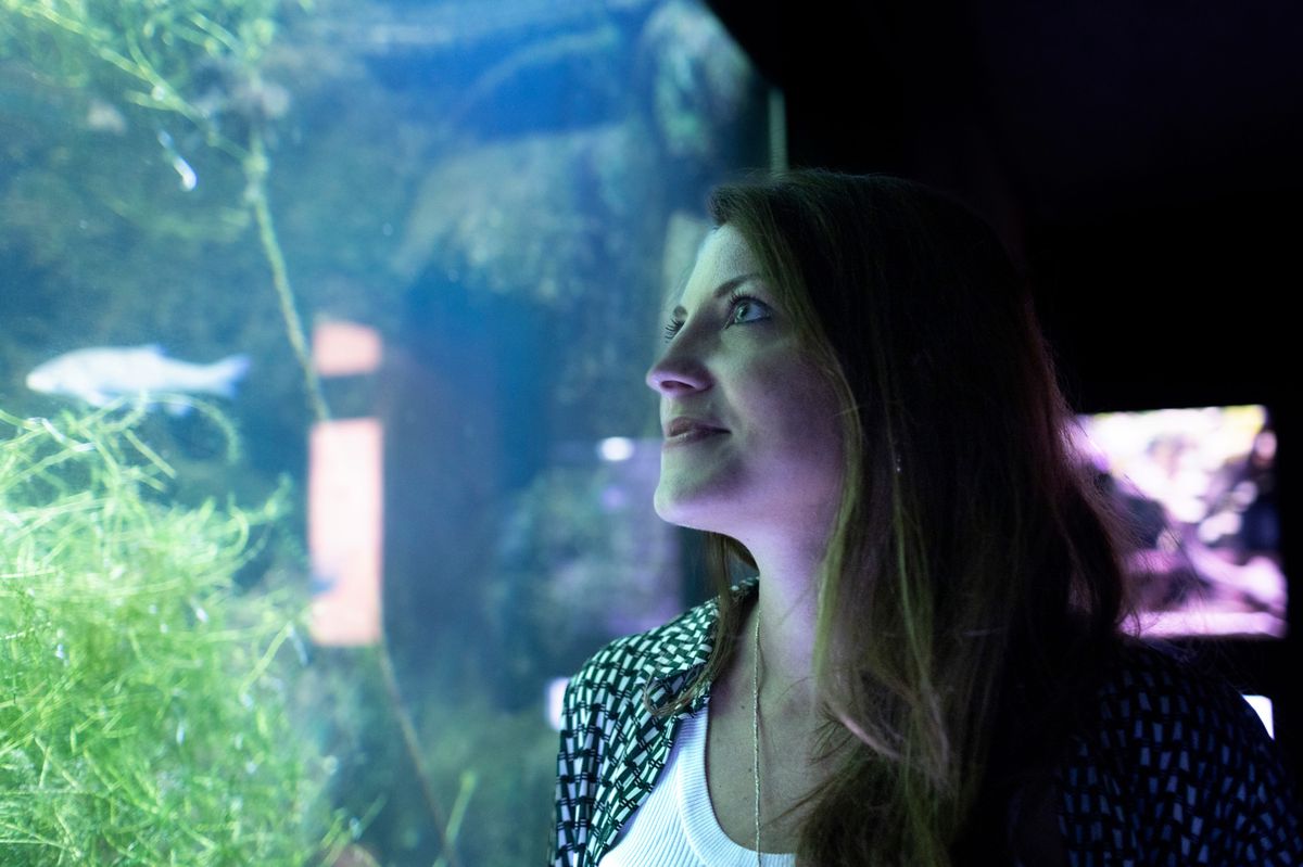 Portrait d'Anne-Sophie Deville : L'insatiable curieuse sait faire ...