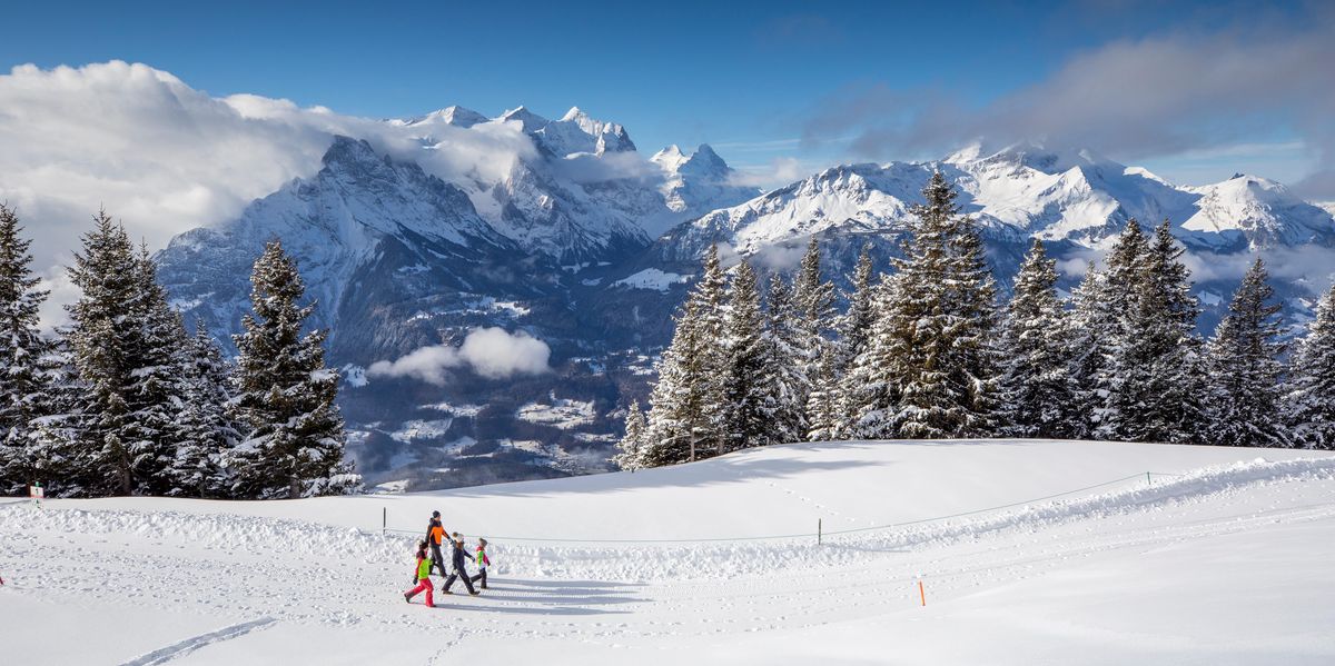Winterwandern: 6 wunderschöne Routen in den Schweizer Bergen | Der Bund